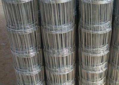 China Hot Dipped Galvanized Hinge Joint Page Wire 2.5mm Farm Field Fence Livestock for sale