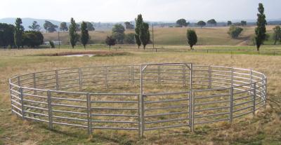 China Galvanized Livestock Panels 6 Oval Bar Hog Wire Fence 1800mm Height Cattle Corral for sale