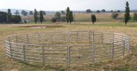 China Heavy Duty Livestock Panel Fence 12ft Horse Corral Panel Hot Dipped Galvanized 5ft Height for sale