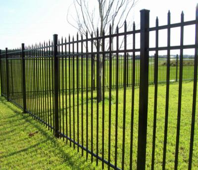 China Powder Coating Wrought Iron Welded Wire Garden Fence Black Tubular 25x25mm Rail 0.8mm Thickness for sale