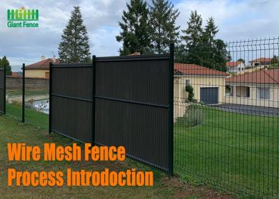 China Welded Wire Garden Fence 6x8 ft 3D Curve Panel for Estate Yard Edge for sale