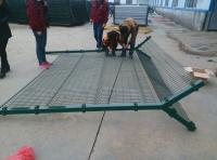 China 50×100mm Welded Wire Mesh Security Fence with 3.0-6.0mm Wire Diameter for Airport Perimeter Protection for sale
