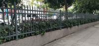 China Hot Dipped Galvanized Steel Picket Fence Panel 1.8x2.4m Powder Coated Black for sale