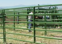 China Portable Pipe Filled Welded Mesh Cattle Fence Gate - 900-1800mm Height, 1160-4780mm Width Options with Galvanized Finish for sale