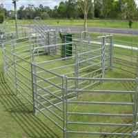 China 60x60mm Square Pipe Cattle Panel 60ft Height Lugs and Pin Connection for Horse for sale