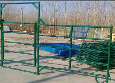 China Galvanized Welded Portable Cattle Panels 1.8m High 2.1m Wide Livestock Fence for sale