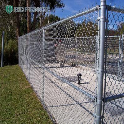 China 1 Inch Galvanized Hook Mesh Chain Link Fencing Farm Fence 2m Height 50mm Mesh for sale