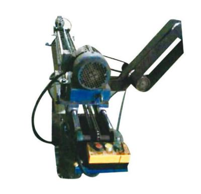 China Automatic Reciprocating Torch Grinder 6000kg SL3000 for Textile Buffing Blemish Cloth for sale