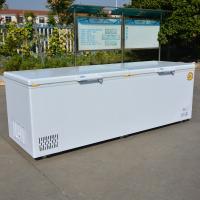 China Customer Country Standard Plug Large Capacity Horizontal Double Door Chest Freezer for sale