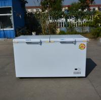 China Customer Country Standard Plug Large Capacity Horizontal Double Door Chest Freezer for sale