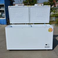 China Customer Country Standard Plug Large Capacity Horizontal Double Door Chest Freezer for sale