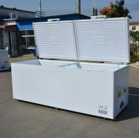 China Customer Country Standard Plug Large Capacity Horizontal Double Door Chest Freezer for sale
