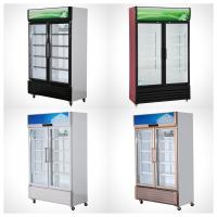 China 220V-240V/50HZ 60HZ 110V/60HZ Display Cooler 2 Doors Store Drinks Fridge Refrigerator for sale