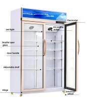 China 110V/60HZ Voltage Commercial Refrigerated Drinks Display Case with R290a Refrigerant for sale