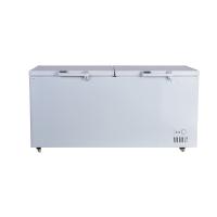 China Commercial Large Capacity Freezer with Long Working Life and Horizontal Copper Tube Design for sale