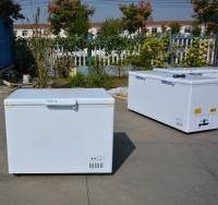 China Energy Deep Freezer for Supermarket Vegetables and Meats Storage Customized Dimensions for sale