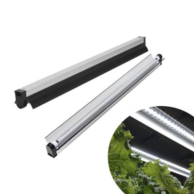 China Nano White 6400K T5 Led Grow Lights For microgreen leafy veg for sale