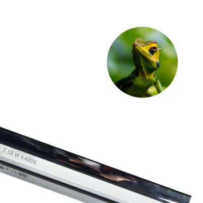 China Reptile EDJ T5 Grow Light Fixture 2925lm fluorescent tubes lights for sale