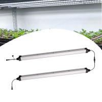 China 160lm/w Full Spectrum Grow Light Strips Sunlike LED Grow Lights For Hydroponics Succulent for sale