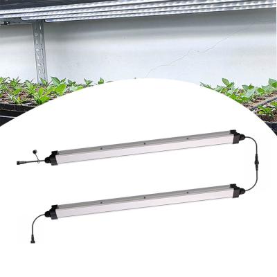 China 160lm/w Full Spectrum Grow Light Strips Sunlike LED Grow Lights For Hydroponics Succulent for sale