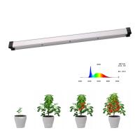 China 18W 50cm LED Plant Grow Light Strips Full Spectrum Grow Lights For Indoor Plants for sale