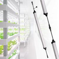 China Waterproof Hydroponic Led Grow Lights Samsung LED Source IP65 Microgreen Grow Lights for sale