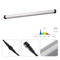 China Mega Plus LM301B Full Spectrum LED Grow Light Bar Hydroponic Waterproof LED Grow Light for sale