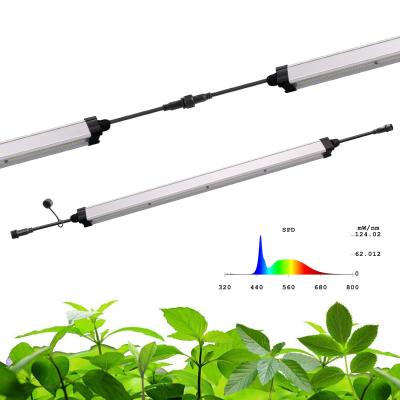 China Greenhouse LED Grow Light Strips Full Spectrum Sunlight White For Vegetable Flower for sale