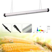 China Horticulture Greenhouses LED Grow Light Bar Full Spectum LED Strips LM301B for sale