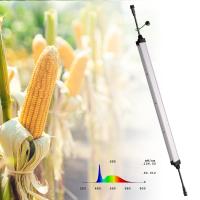 China SMD Full Spectrum LED Grow Lights Bar 220V 3000k 4000k 6000k Customised Waterproof Grade for sale