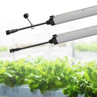 China Mega Plus LM301B Full Spectrum LED Grow Light Bar Hydroponic Waterproof LED Grow Light for sale
