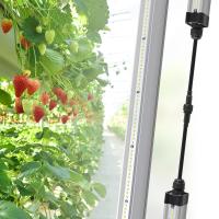 China Horticulture Greenhouses LED Grow Light Bar Full Spectum LED Strips LM301B for sale