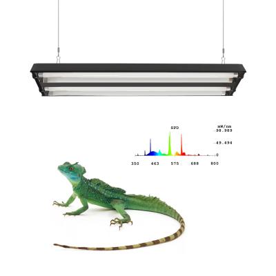 China Rectangle Reptile Heat Lamp Fixture Dual T5 UVB Low Profile for sale