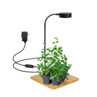 China 5W 7W Full Spectrum USB Aquarium Light Stand With Bamboo Board For Potted Plant for sale