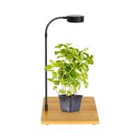 China Bamboo Aquarium Full Spectrum LED Light plant grow light for aquarium for sale