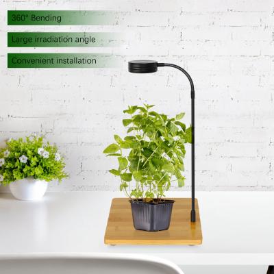 China Full Spectrum Succulent LED Grow Light Tabletop With Bamboo Board for sale