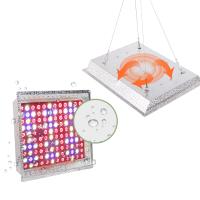 China 1000W LED Grow Light , Full Spectrum Sunlike Plant Growing Light for sale