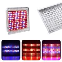 China Veg Flower Dimmable 1000W LED Plant Growing Lamps For Greenhouse 2x2ft Tent for sale