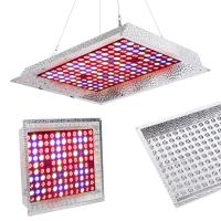 China Veg Flower Dimmable 1000W LED Plant Growing Lamps For Greenhouse 2x2ft Tent for sale