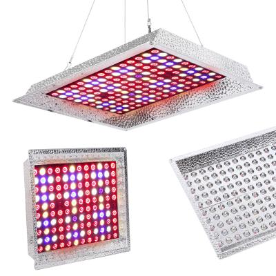 China Veg Flower Dimmable 1000W LED Plant Growing Lamps For Greenhouse 2x2ft Tent for sale