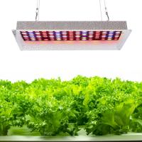 China 1000W Full Spectrum LED Grow Lights Indoor Hydroponic Greenhouse Plant Grow Lights for sale