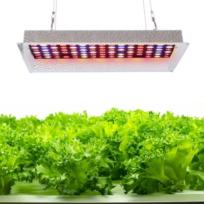 China 1000W Full Spectrum LED Grow Lights Indoor Hydroponic Greenhouse Plant Grow Lights for sale