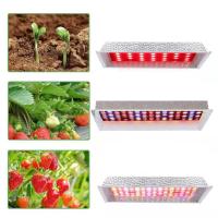China 1000W LED Grow Light , Full Spectrum Sunlike Plant Growing Light for sale