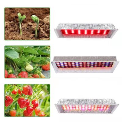 China 1000W LED Grow Light , Full Spectrum Sunlike Plant Growing Light for sale