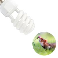China Mini Compact UVB Reptile Lighting Fluorescent For All Desert And Basking Reptiles for sale
