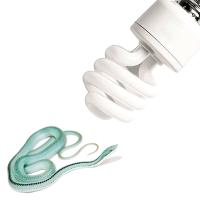 China Compact Fluorescent UVA UVB Reptile Light 10.0 23W 13Watt Reptile Desert UVB Light for sale