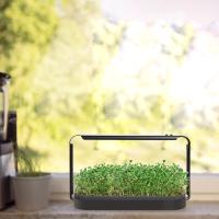 China Hydroponics Indoor Herb Garden Kit Mini Plant LED Grow Lights For Nursery Germination for sale