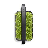 China Smart Hydroponic Growing System Indoor Plants Germination Kit For Home Kitchen Gardening for sale