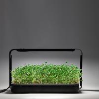 China Black 6400k Indoor Herb Grow Kit 16w US EU AS Seeds Garden Starter Kit for sale
