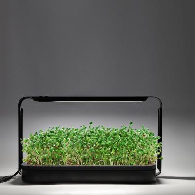 China Black 6400k Indoor Herb Grow Kit 16w US EU AS Seeds Garden Starter Kit for sale
